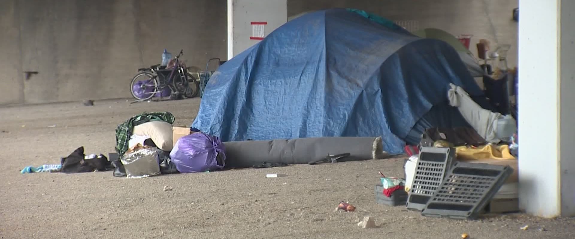 Mental Health Struggles of Homeless People in Travis County, Texas